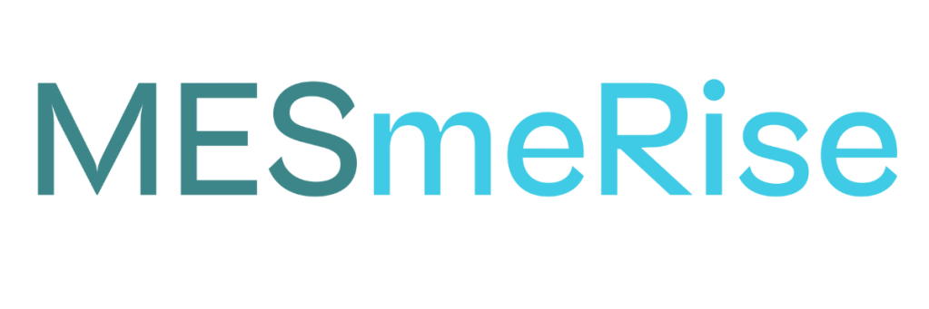 Contact – Mesmerise Soft Tech Private Limited